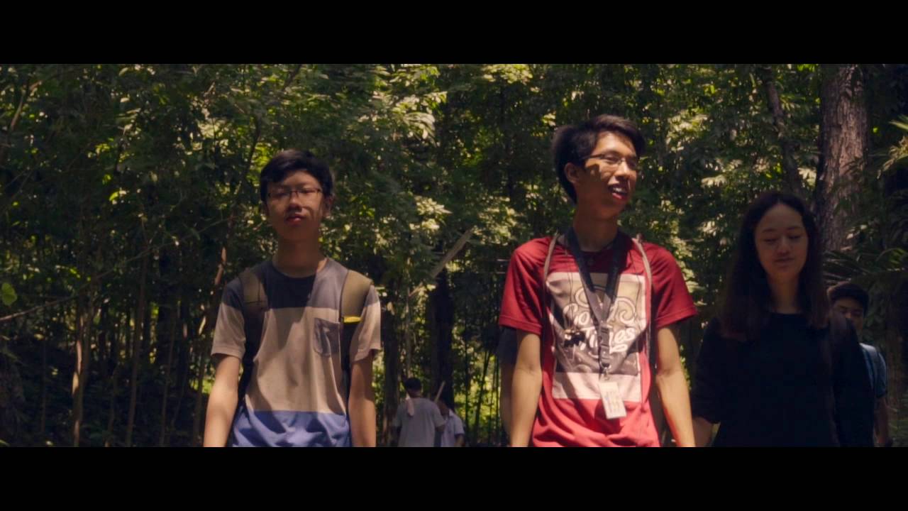 Flat/Log vs Color Graded (Test Footage) - YouTube