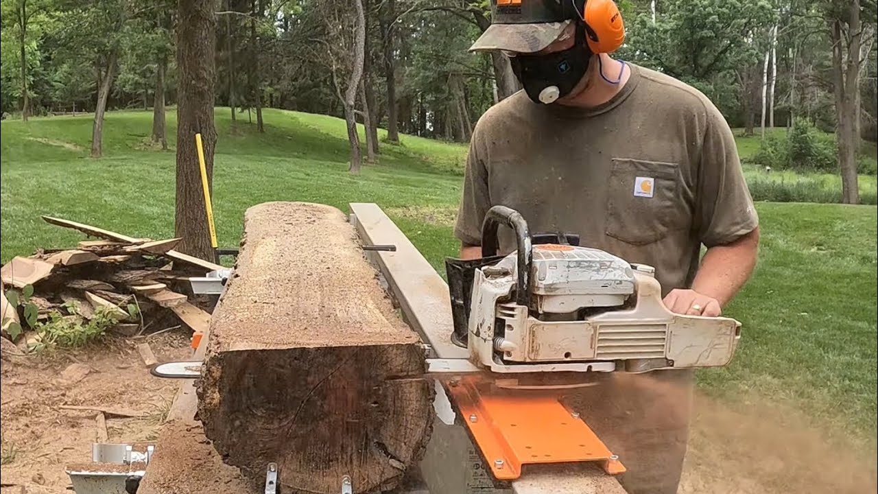 I Unleashed My Stihl MS 661 on This Black Walnut Log and Uncovered ...