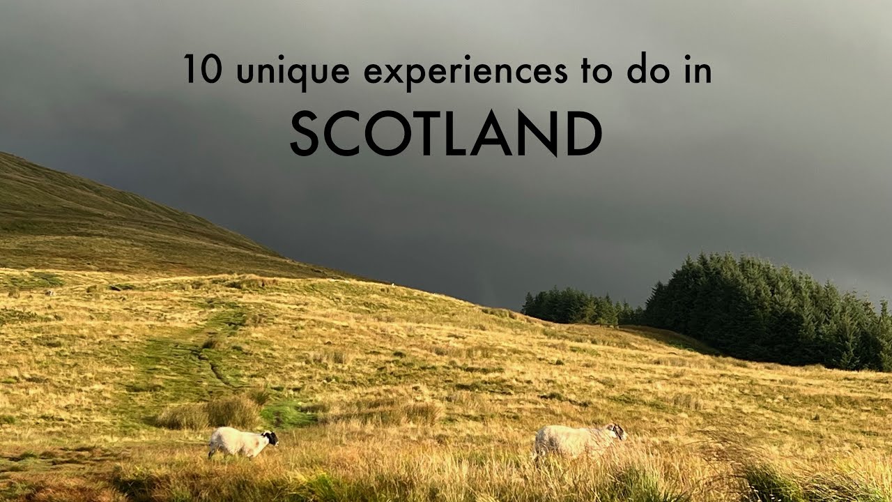 10 Unique Experiences to do in Scotland - YouTube