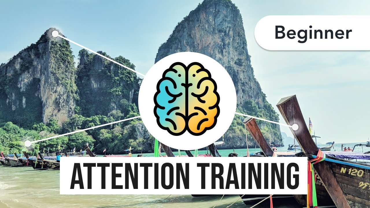 Attention training - Improve focus and concentration [beginner] - YouTube