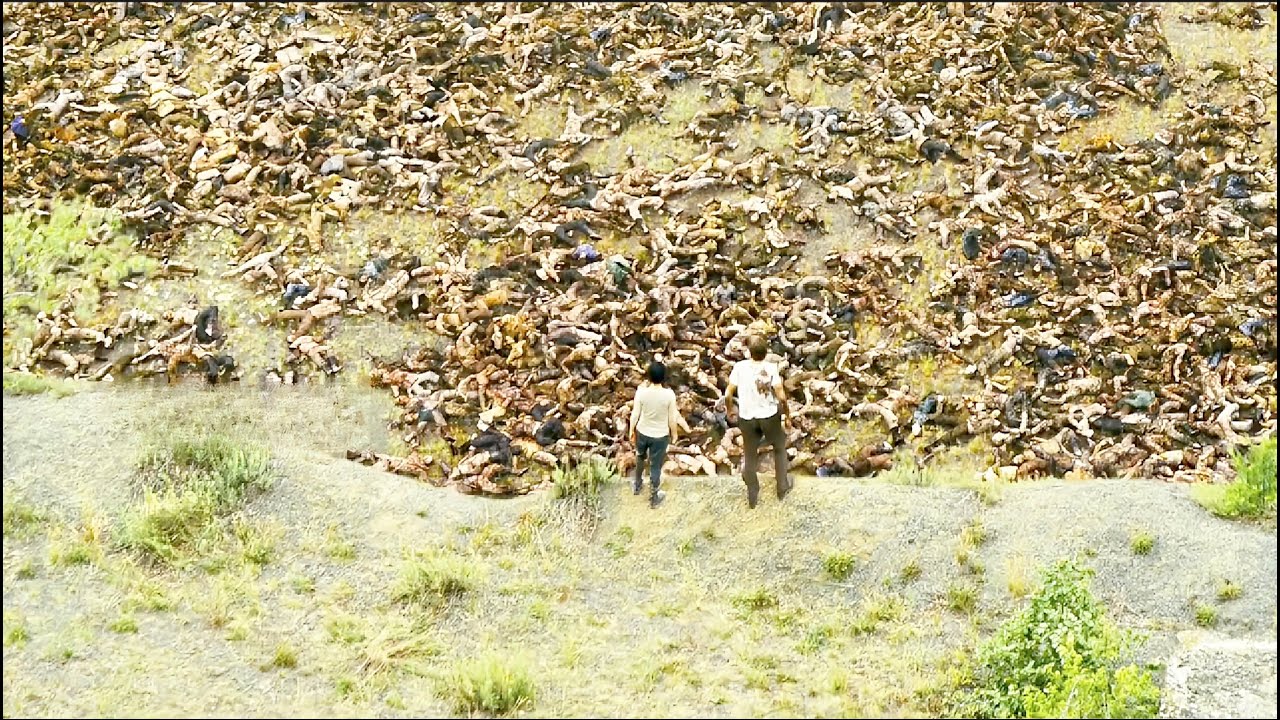 Zombie Virus Outbreak: A Man Wakes Up with No Memory in a Pit Full of ...