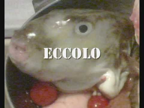 Pesca in apnea:ho rischiato la VITA!strano pesce,pesca sub,ct:cefalo ...