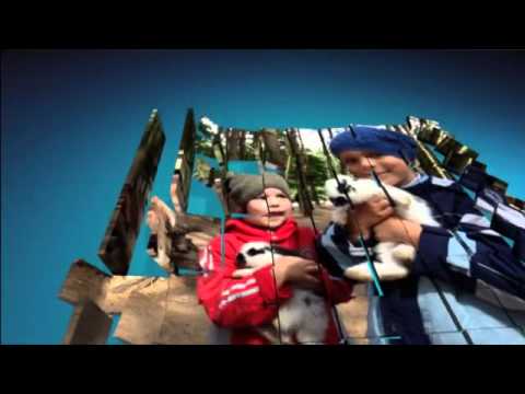 3165090 8153789 - YouTube