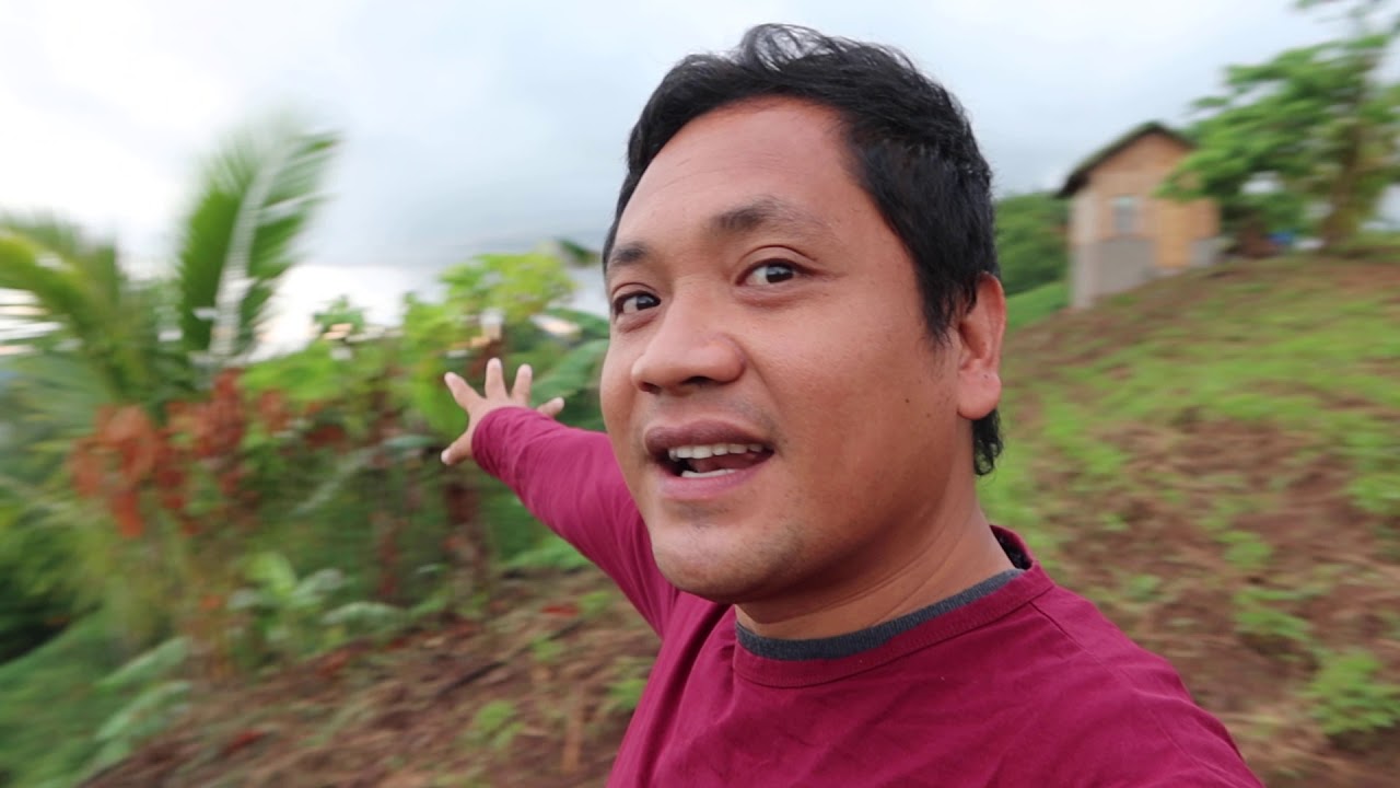 EARLY IN THE MORNING SA BUKID NAMIN GANITO KA LAMIG MAY FOG IN THE ...