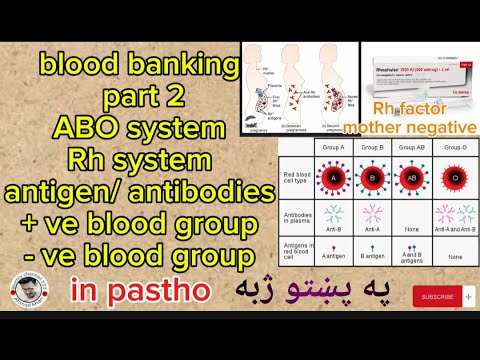 RH system/ ABO system / blood banking part 2/Rh mother negative/ rhesus ...