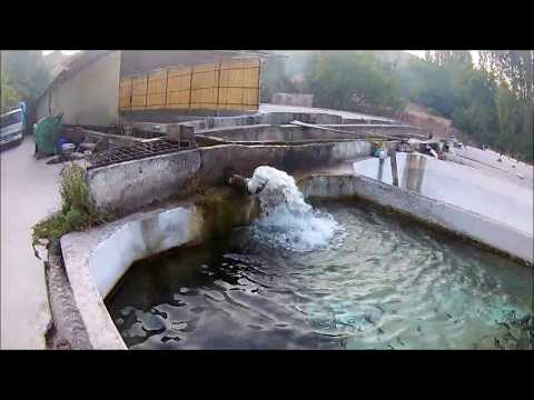 İvriz köyü Canlı Alabalık Tesisleri, sualtı çekimi