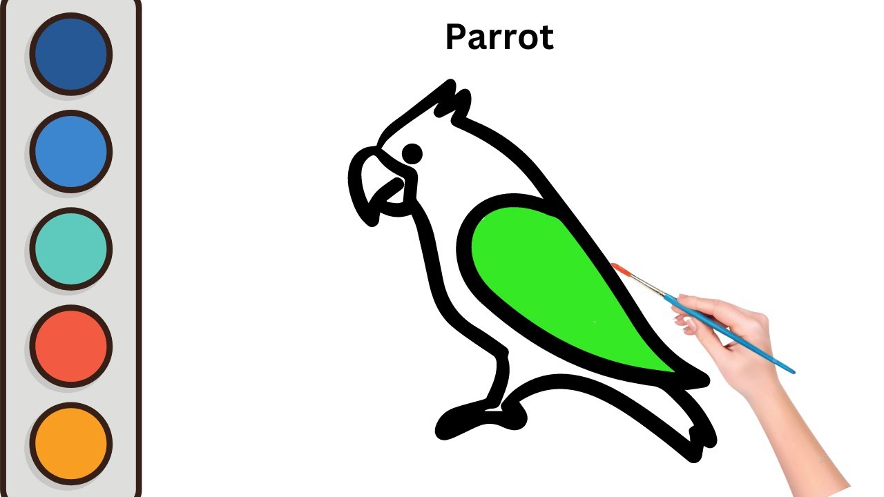 How to draw a parrot 🦜step by step | Easy way to draw, paint & color a ...