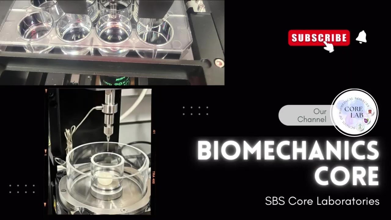 Introduction of SBS Biomechanics Core, CUHK - YouTube