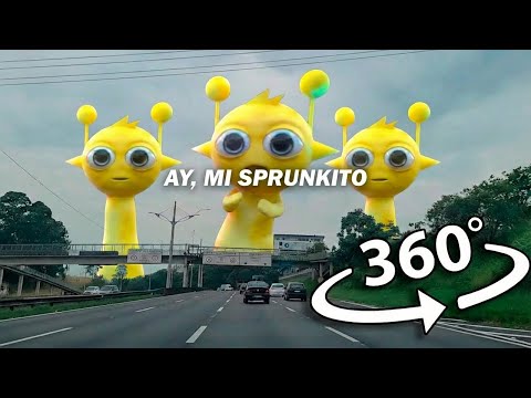 Ay mi Srunkito Bum, Bum - City in 360° VR Video | 8K | (MONTAGEM  MIAU)