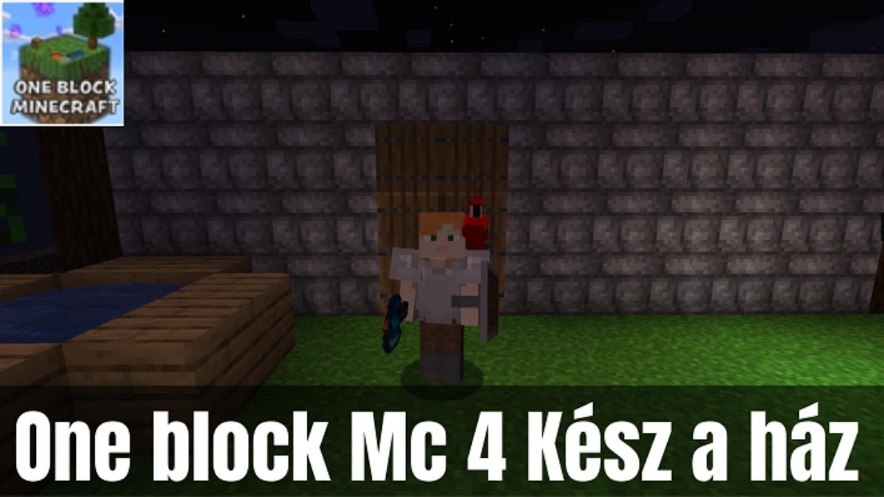 One block mc 4 despasito papagájok + kész a ház - YouTube