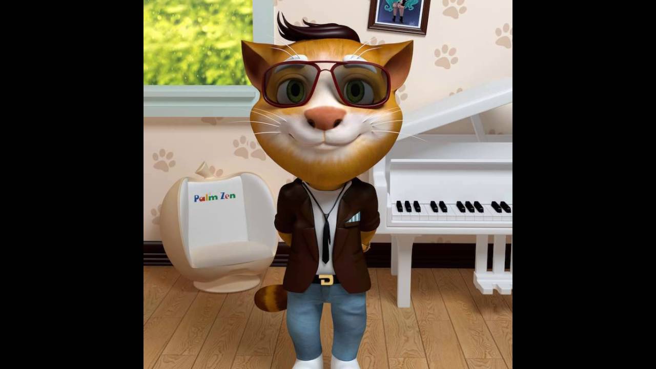 jimmy cat singing work - YouTube