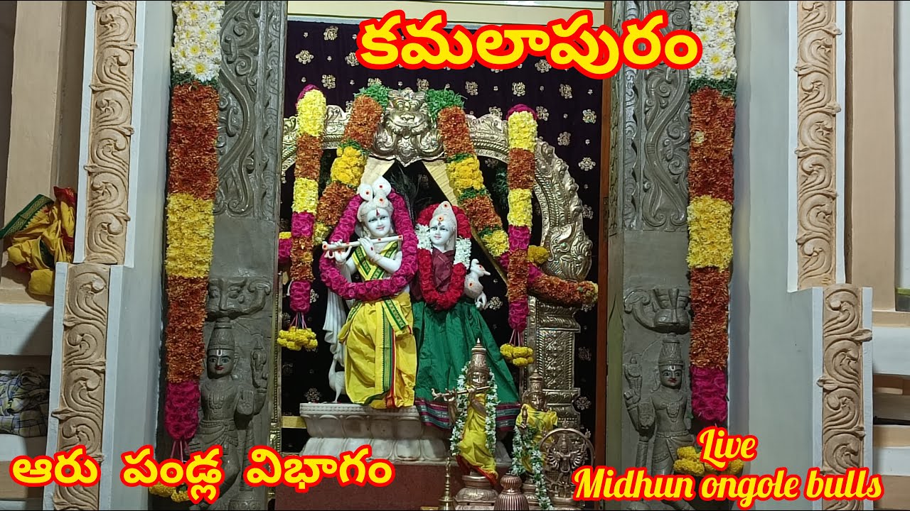 కమలాపురం ఆరుపండ్ల విభాగంలో 2 B s s Reddy - YouTube