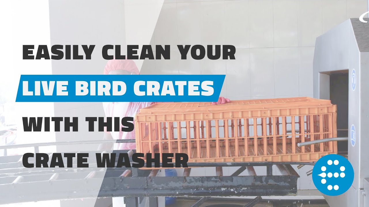 Live Bird Crate Washer for the Poultry Industry - YouTube