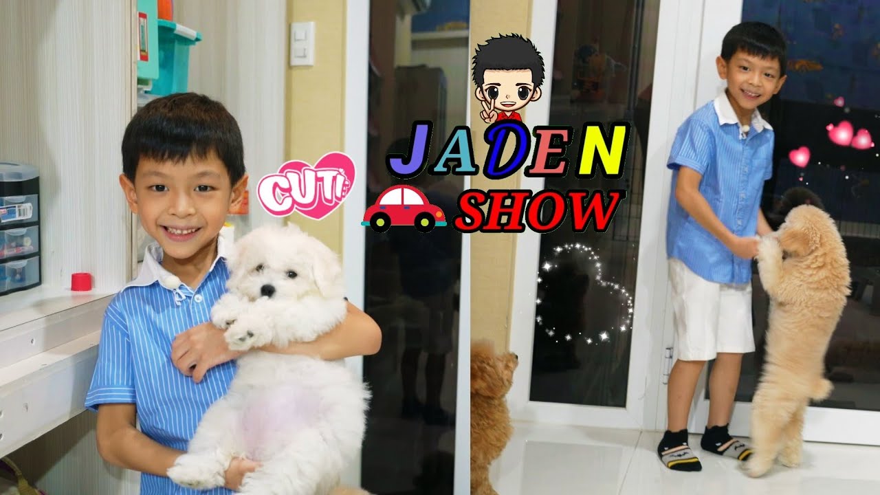 JADEN SHOW - JADEN PLAYING WITH CUTE PUPPIES - YouTube