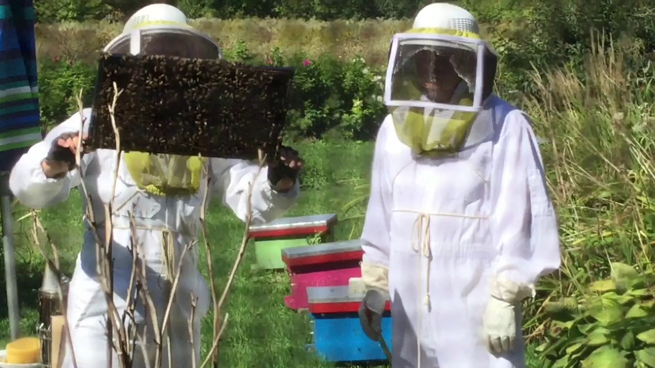 Visit To Intermiel Honey Farm - YouTube