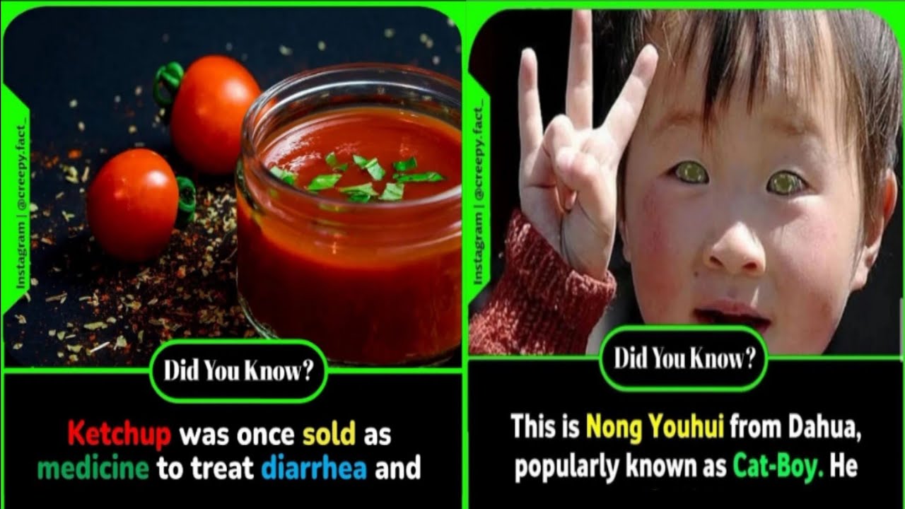 40 Amazing FACTS That You should Know | Interesting Facts | Facts in ...