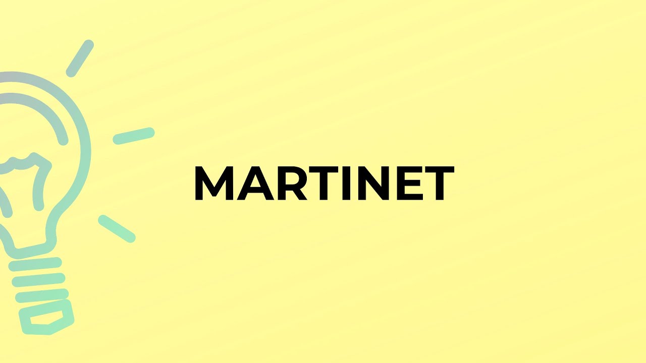 What is the meaning of the word MARTINET? - YouTube