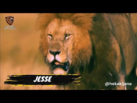 Historia de JESSE | El legendario Rey Nómada (The legendary Nomad King ...