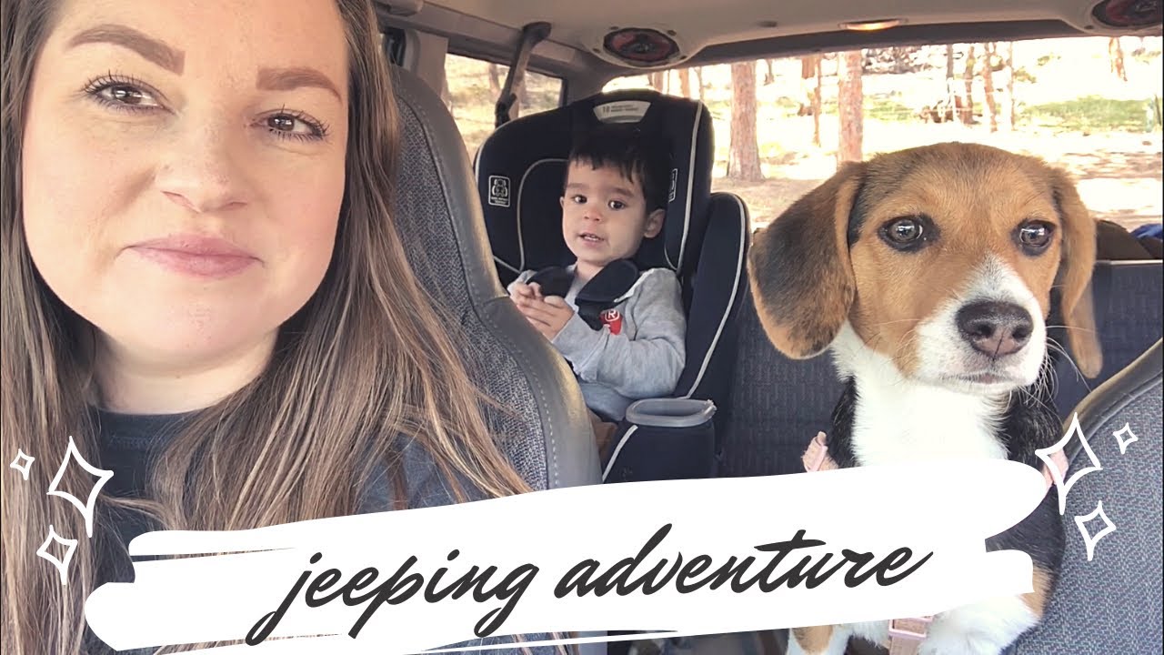 JEEPING ADVENTURE // MOUNTAINS // ALLIE SANCHEZ - YouTube