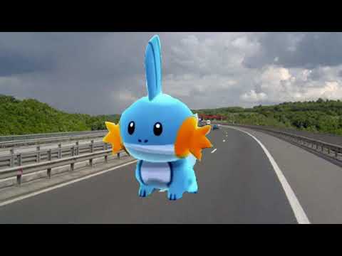 mudkip walk but on a highway - YouTube