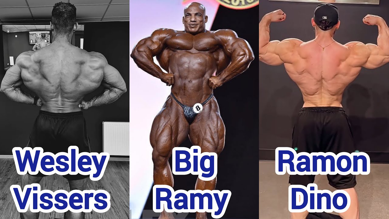 WESLEY VISSERS vs ROMAN DINO | BIG RAMY new updates | PRO EUROPA ...