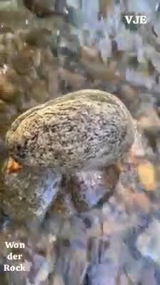 Wonder Rock அதிசய பாறை - YouTube