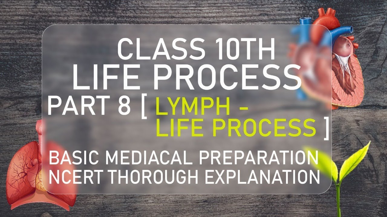 Lymph l Life Processes | Biology | CBSC Class 10 #biorealm # ...