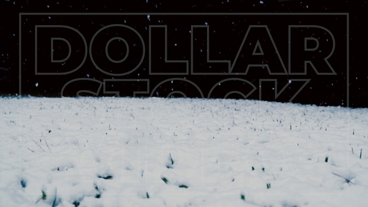 Snow Falling on Fresh Field | Stock Video of Fresh Snowfall in a Field ...