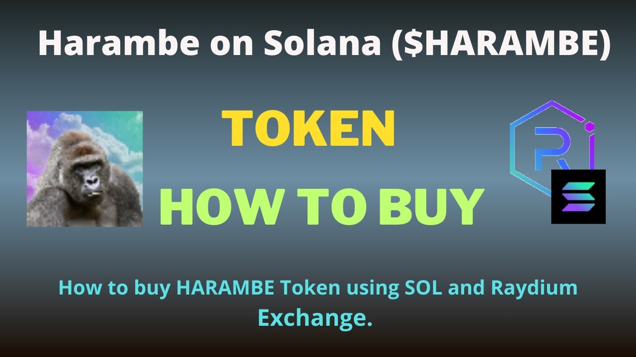 How to Buy Harambe on Solana (HARAMBE) Token Using Raydium Exchange and ...