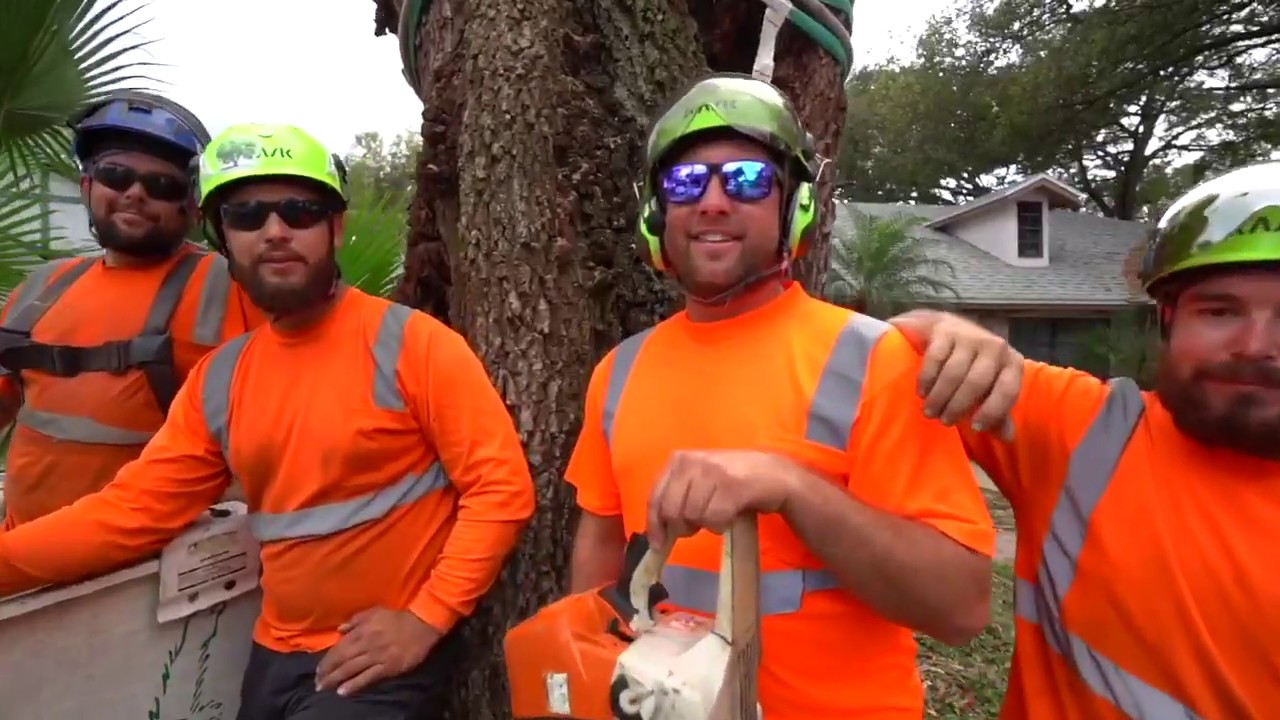 Advance Tree Pros Orlando Florida - YouTube