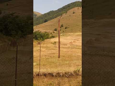 Gədəbəy rayonu Qızıl torpaq Qaraməmmədli