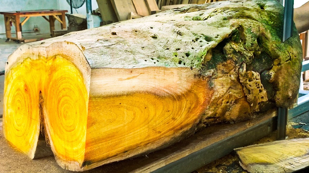 Genius at Work is Endless - Ideas From Scraped Trees Create Great ...