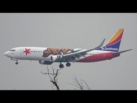 Southwest Airlines Boeing 737-8H4(SSWL) Landing in Minneapolis ...