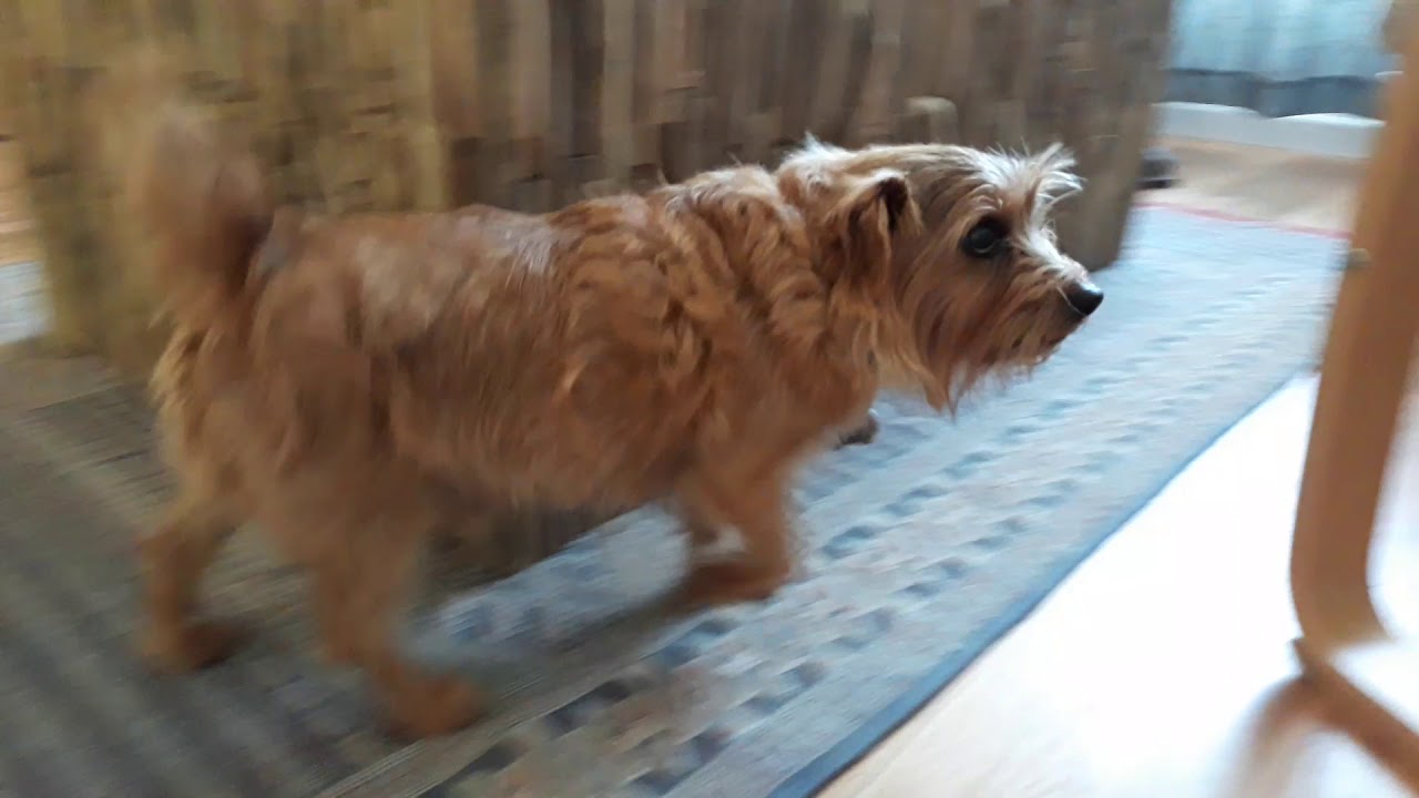 Tug in a box. - YouTube