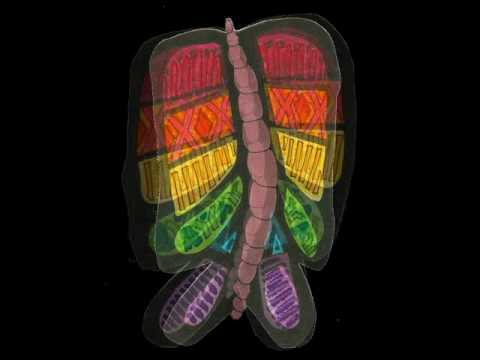 Mi mariposa poem - YouTube