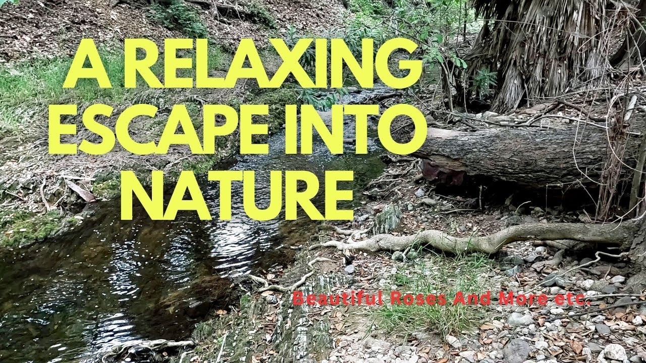 A Relaxing Escape Into Nature - YouTube