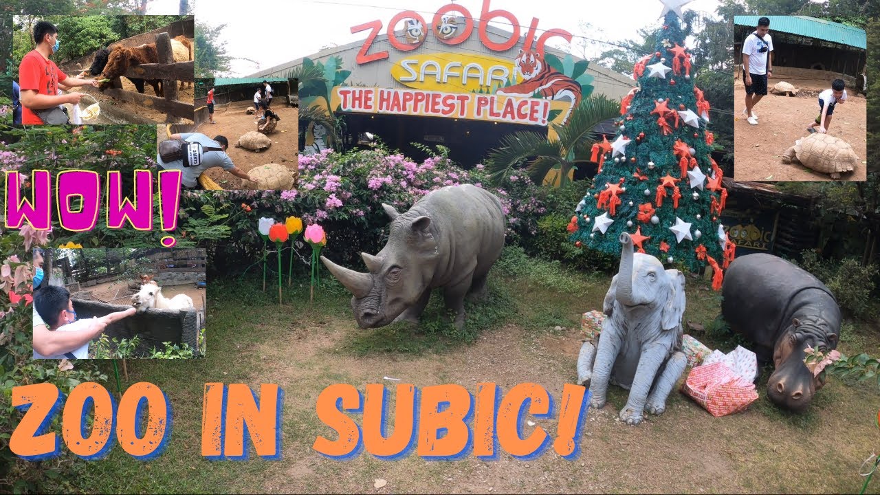 ZOO IN SUBIC PHILIPPINES | WINNING TRADES | V196 - YouTube