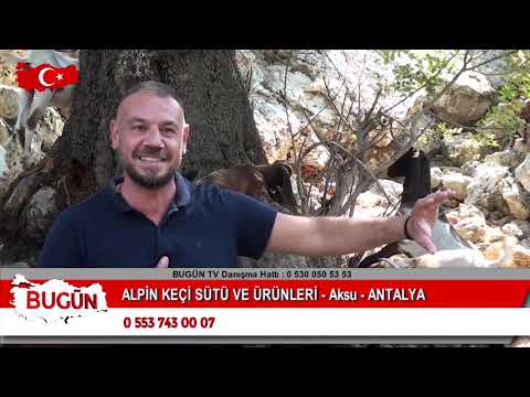 ALPİN KEÇİ SÜTÜ ve ÜRÜNLERİ