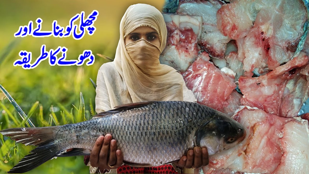 How To Wash And Clean Fish By Kitchen With Rida || مچھلی کو کیسے دھویا ...
