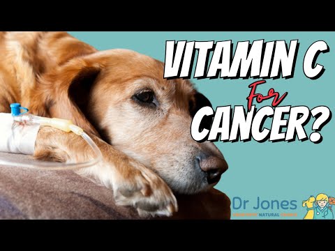 Vitamin C for Dog and Cat Cancer Treatment: Does It Really Work?