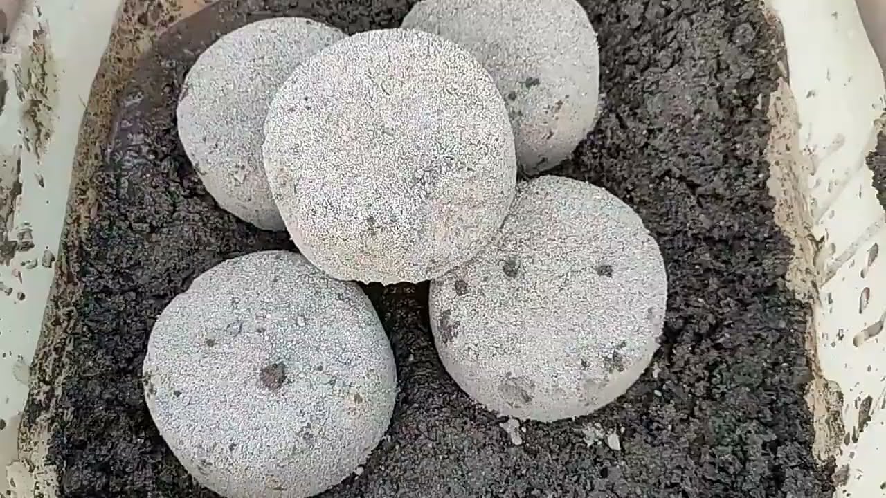 Sand and charcoal mini bowls crumbling and dipping in water💦💦 - YouTube