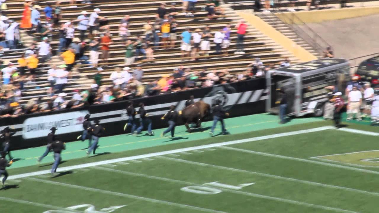 Run, Ralphie, Run - YouTube