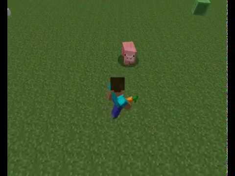 Minecraft Pis Domuz İşkencesi