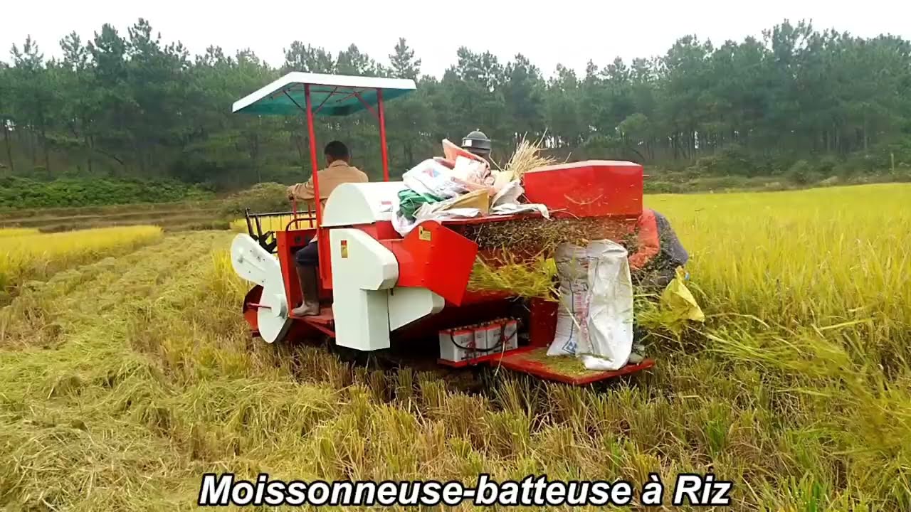 4LZ-1.6 Moissonneuse-batteuse à riz - YouTube