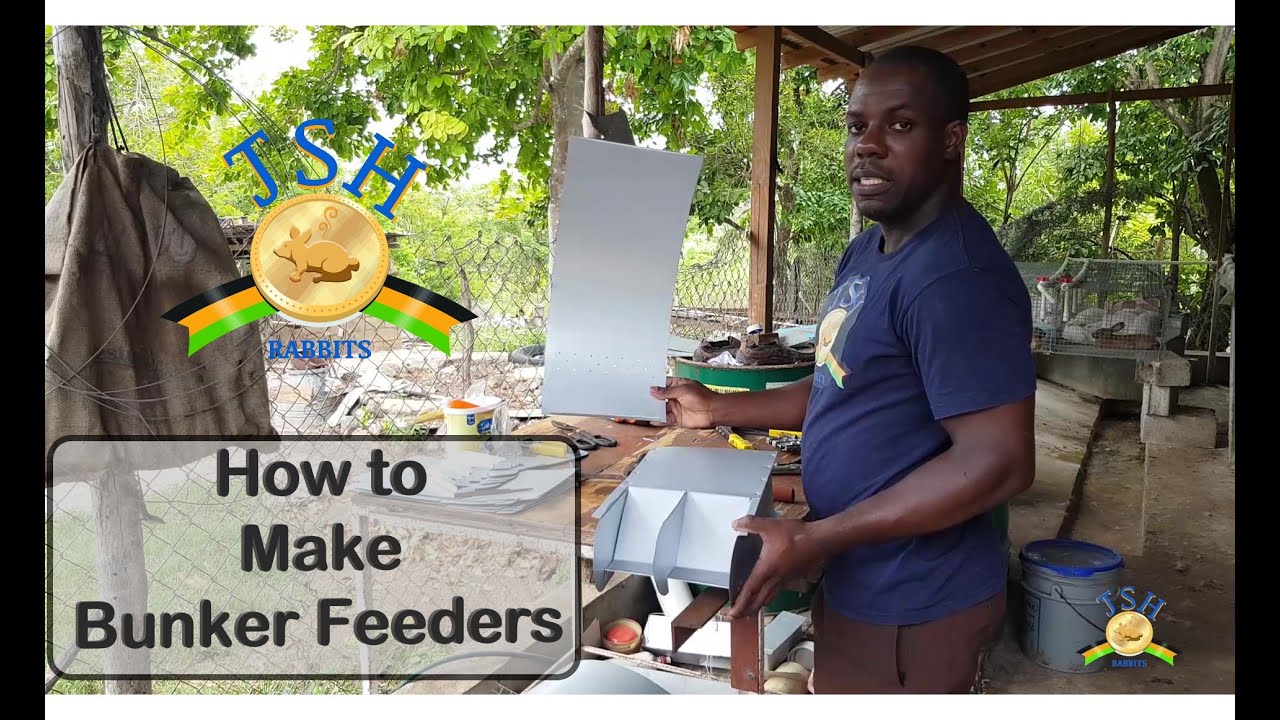 Jamaica Rabbit Farming: How to make Bunker Feeders for Rabbits - YouTube