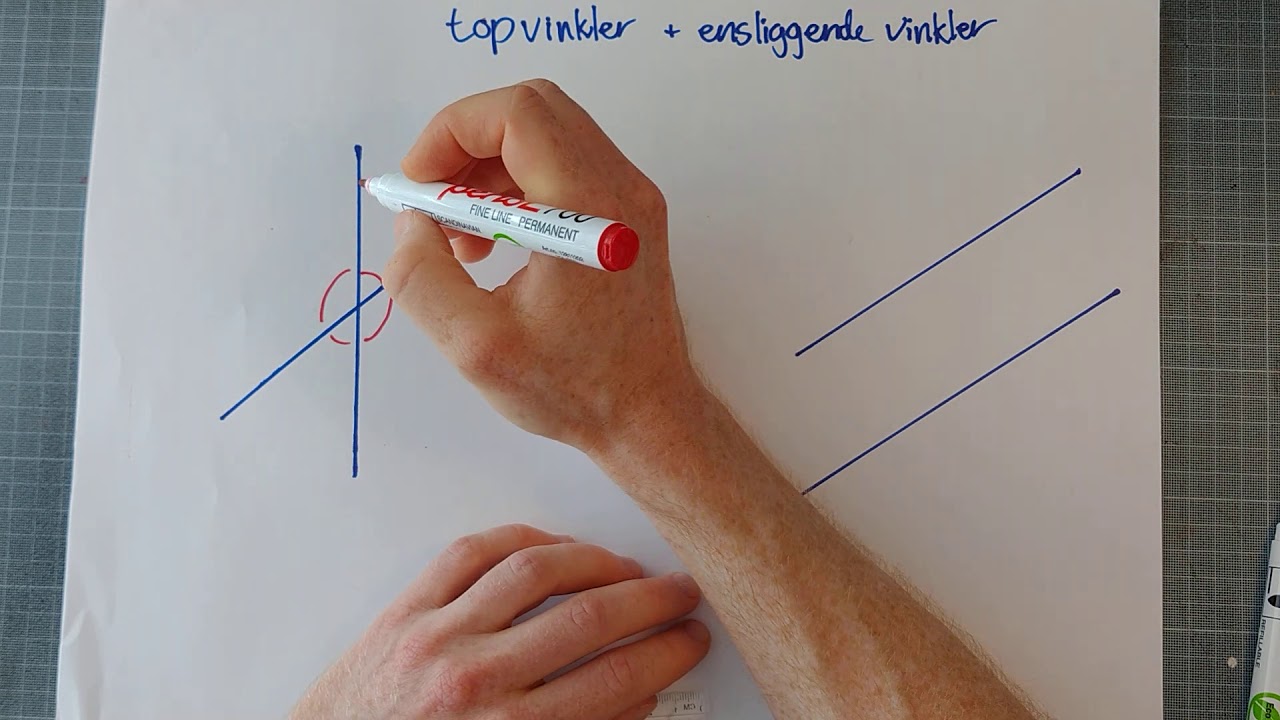 Topvinkler og ensliggende vinkler - YouTube