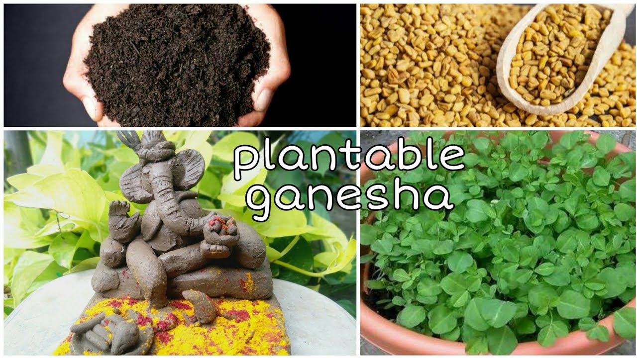 plantable Ganesha | how to make clay Ganesha | ganesh idol with seeds ...