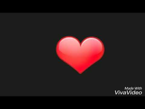 Vatsap üçün qısa video