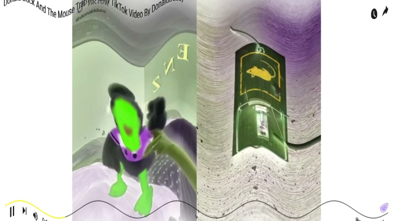 Donald Duck And The Mouse Trap AVS Effects - YouTube