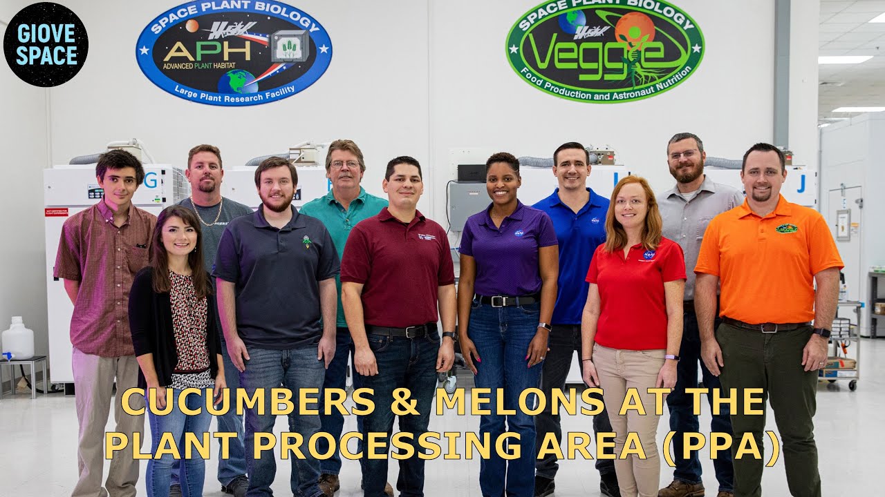 CUCUMBERS AND MELONS AT THE PLANT PROCESSING AREA IN THE SSPF – NASA ...